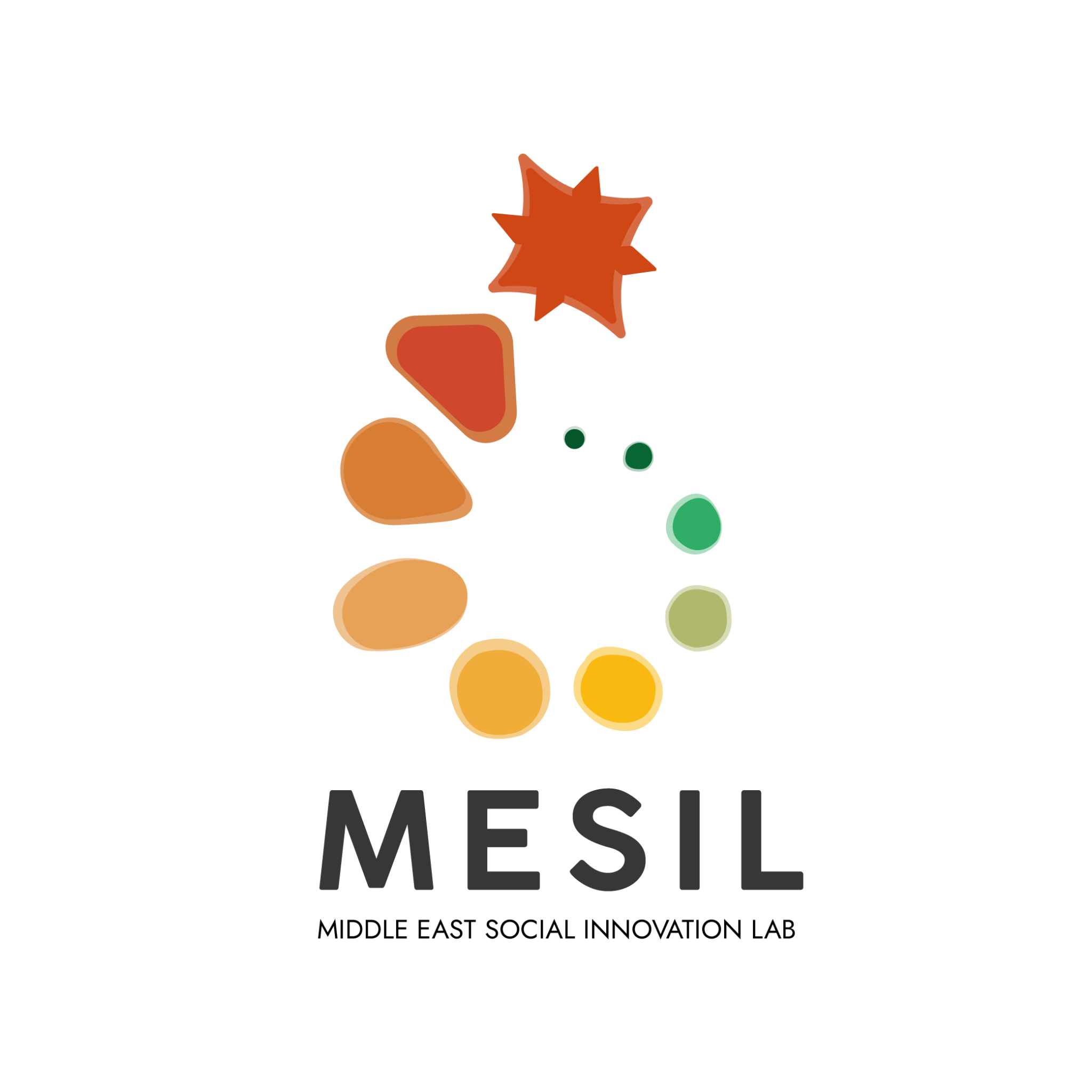 Goals and activities – MESIL – Middle East Social Innovation Lab
